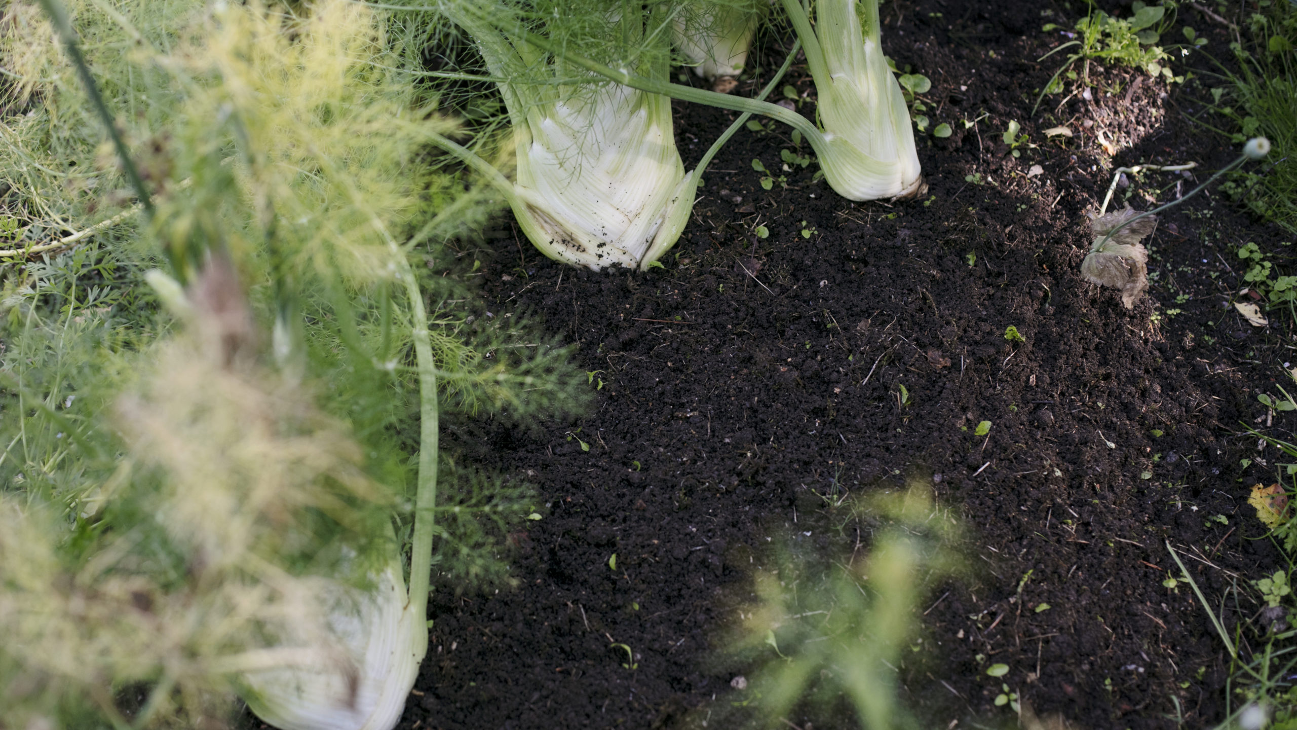 Vedenpuhdistus | Stormossen