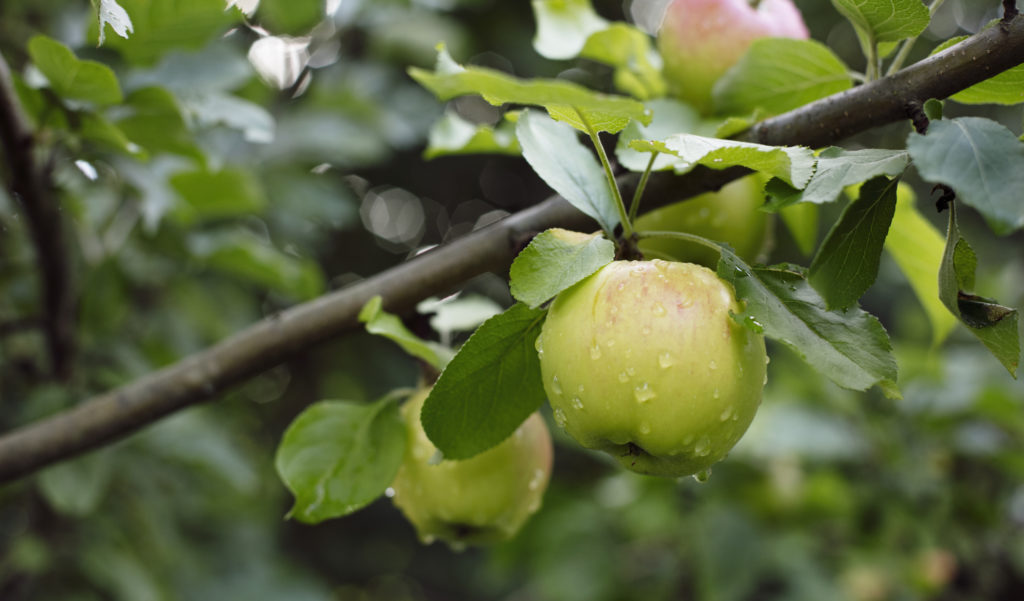 Jätehuoltoyhtiö | Kustannustehokasta ja korkean palvelutason ...