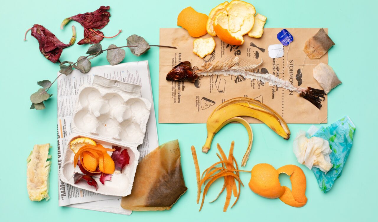 Biowaste | Stormossen