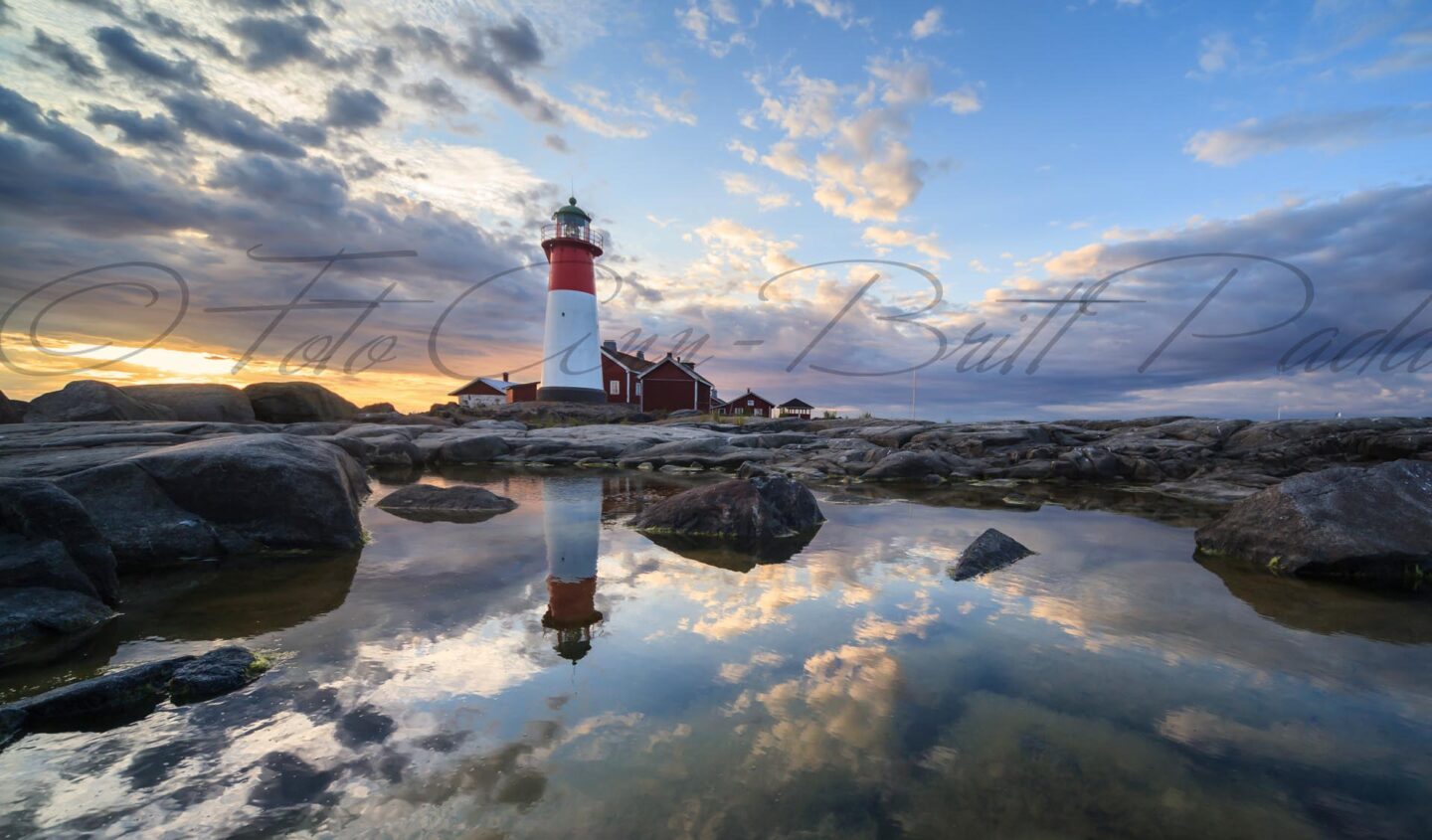 Minimossen | Stormossen